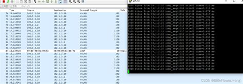 【sdwan实验】versa双链路负载分担versa Sdwan Eve Csdn博客