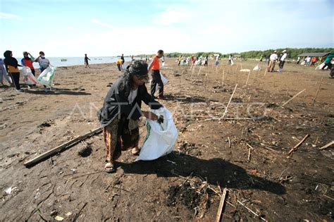 Pertamina Bersih Pantai Antara Foto