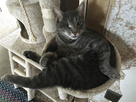 Socket Is Getting Too Big For The Crows Nest Scrolller