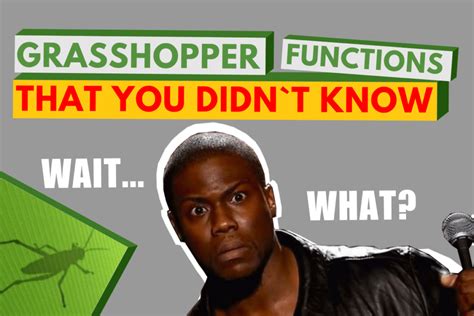 Grasshopper Functions That You Didnt Know Learn Grasshopper Now