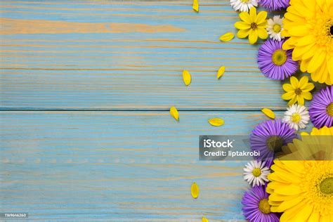 파란색 나무 테이블에 노란색 거베라 데이지와 보라색 정원 꽃 꽃은 나란히 배치되어 있습니다 상단 보기 복사 공간 0명에 대한 스톡 사진 및 기타 이미지 Istock