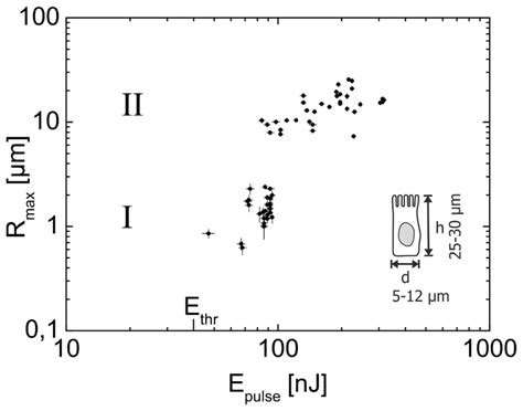 Maximum Bubble Radius R Max As A Function Of Pulse Energy After Download Scientific Diagram