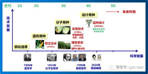 《科学家讲科学》第十期丨李家洋院士：水稻分子设计育种品质技术产量