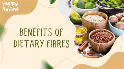 Whats Dietary Fibre And Why Is It Essential For Our Body Benefits