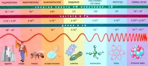 Рентгеновское излучение Виды и применение Особенности