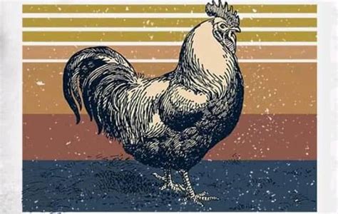 5 Layer Farming 5 Layer Farming Added A New Photo — At
