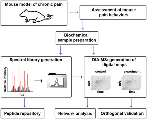 Schematic Representation Of An Experimental Workflow Suitable For