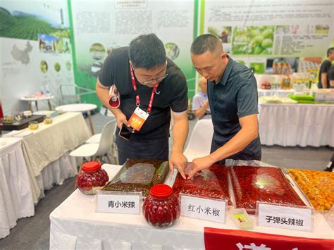 贵州辣椒种植面积达520万亩 每年带动140万椒农增收 新华网客户端