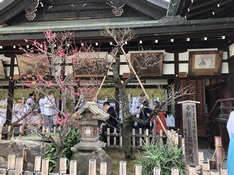 『初天神！梅花祭～福玉まき・うそ替神事～』キタ（大阪駅・梅田）大阪の旅行記・ブログ By ゆりさん【フォートラベル】