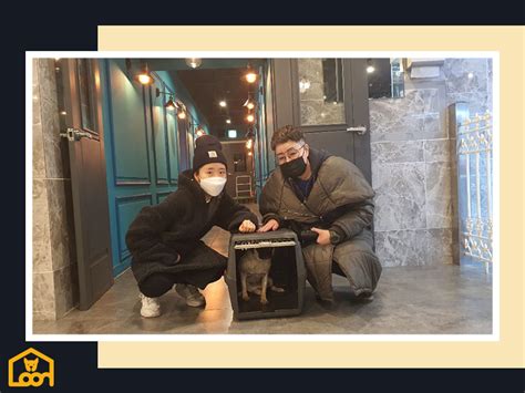 퍼그 민승이 책임분양 시바견수명 푸들무료분양 대전고양이분양 제페니스스피츠 강아지보호소 시바견특징 유기견분양 평택강아지분양 빅토리아펫보호소 입양완료