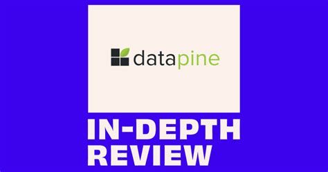 Datapine Review The Cmo