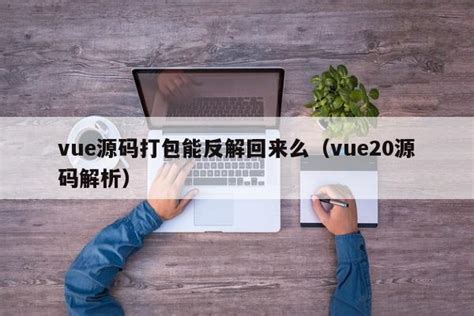 Vue源码打包能反解回来么（vue20源码解析） 杂七乱八 源码村资源网