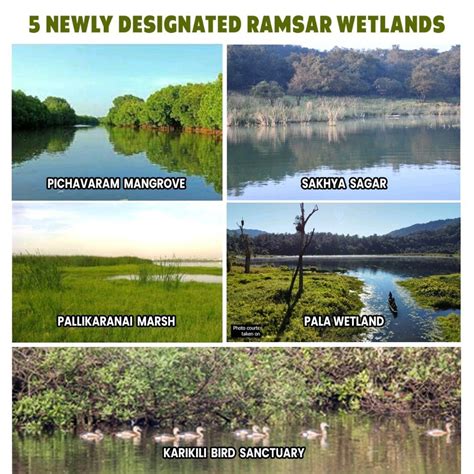 Junaid Hassan S Phd Posted On Linkedin