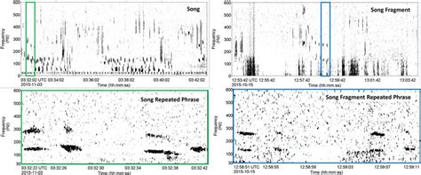 Color Online Spectrograms Depicting Examples Of Phrases Observed In Download Scientific