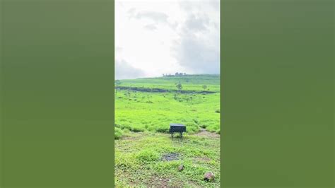 ខ្នងផ្សារ🇰🇭 Youtube