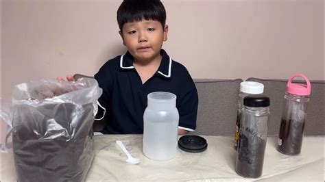 진서야 놀자 장수풍뎅이 하늘나라로 보내고 사슴벌레 집 만들어주고 애벌레 확인하기 Youtube