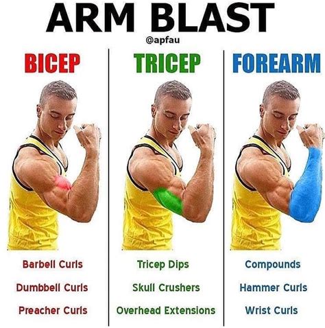 Arm Blast Workout Bicep Tricep Forearm Beast Mode Gym Tips Gym