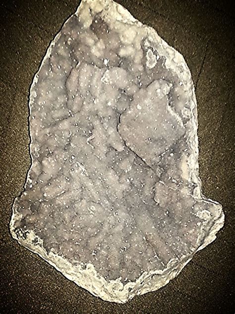 Pin On •rock Hound•mineral I D• Tampa Bay Florida Fossil Coral