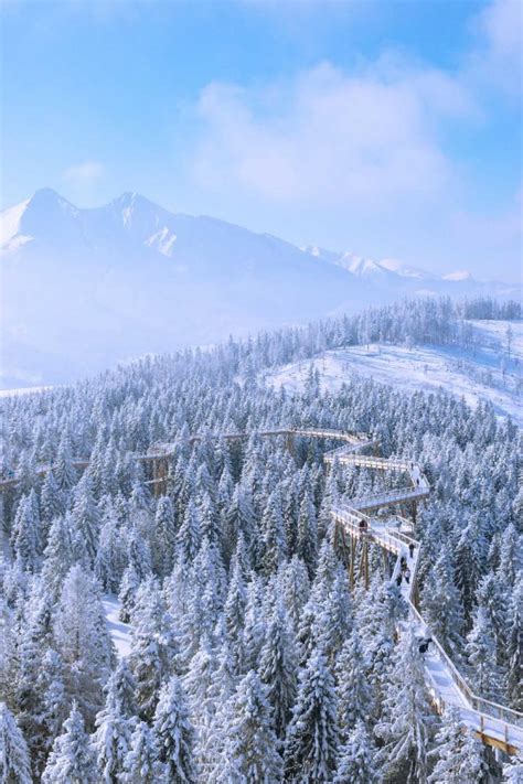 The Treetop Walk Bachledka Ski Sun