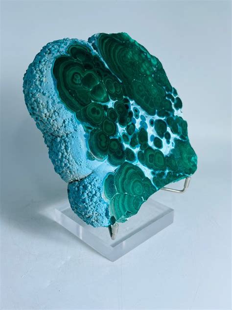 Esemplare Di Malachite Di Alta Qualità Con Crisocolla Un Raro Tesoro Da Collezione Da
