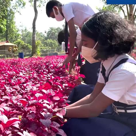 richa awasthi on linkedin sustainableliving education future