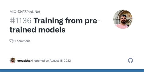 Training From Pre Trained Models Issue 1136 MIC DKFZ NnUNet GitHub