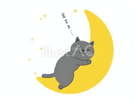 เวกเตอร์ฟรี {{ชื่อ}}