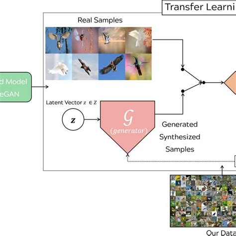 Architecture And The Principle Of Transfer Learning Download Scientific Diagram