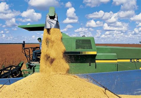 Bunge Eleva Perspectiva De Lucro Com Demanda Por Alimentos E