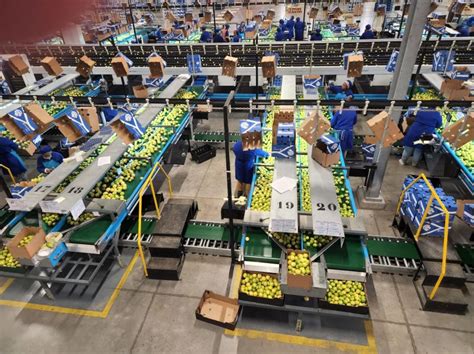 Logistics Berrie De Jager