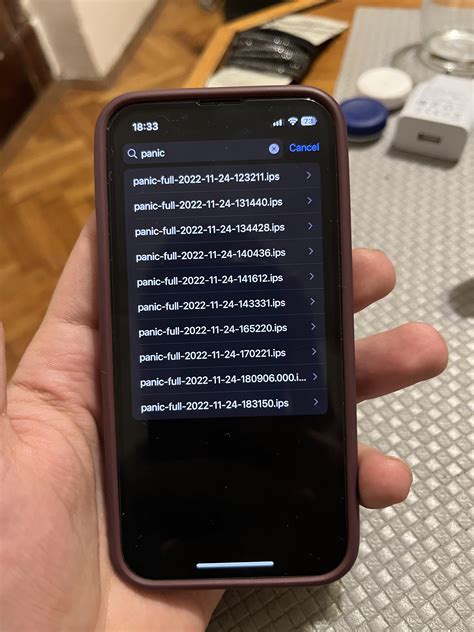 hi please help panic full logs text is in the comment r iphone13mini