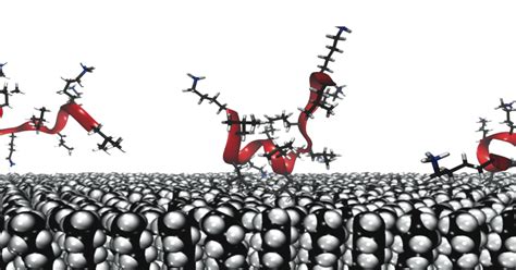 Pasi Molecular Based Multiscale Modeling And Simulation 2012 ~ Sirah