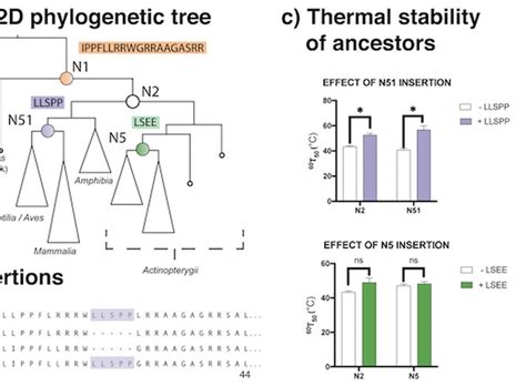 engineering indel and substitution variants of diverse and ancient