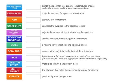 Grade 7 Parts Of A Microscope And Their Functions Match Up