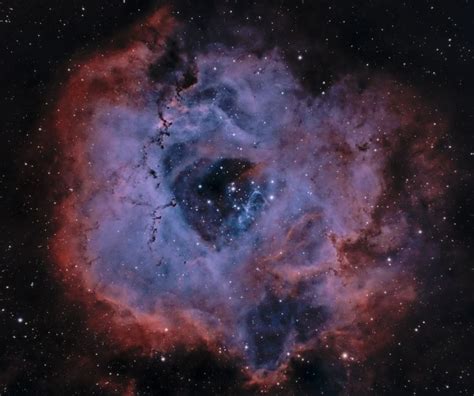 Rosette Nebula Ngc 2237 By Joel Shepherd