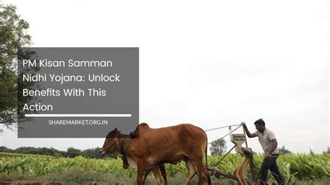 Pm Kisan Samman Nidhi Yojana