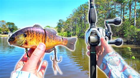 Spring Fishing With A Ultra Realistic Bluegill Swimbait Crazy Eat