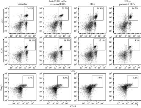 B7 H1 Is Required For Ercs To Regulate The Percentages Of T Cells And