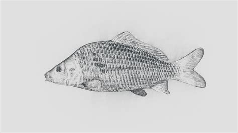 Hand Draw Pencil Sketch Shader Blender Market