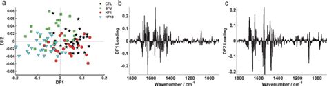 Lda Score Plot A And Loadings B And C For Nd Derivative Of The