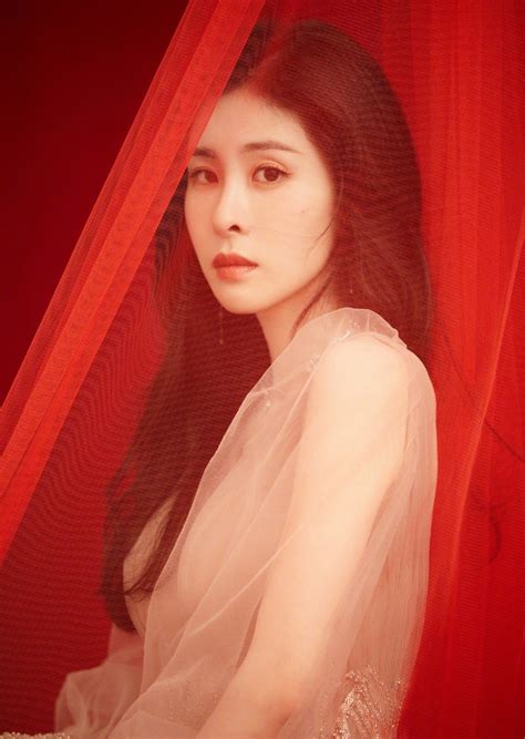 性感美女明星张碧晨妩媚优雅图片人物明星图片乐美图网