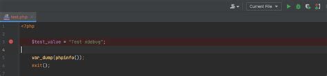 Can T Figure Out Setup Debugger IDEs Support IntelliJ Platform JetBrains