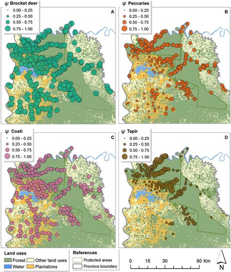 Occupancy Values Estimated For Different Prey Species A Brocket