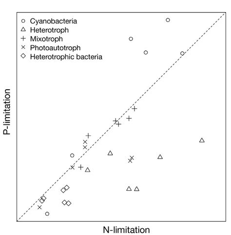Temporal Variations In Biovolume For Each Functional Group Under N And Download Scientific