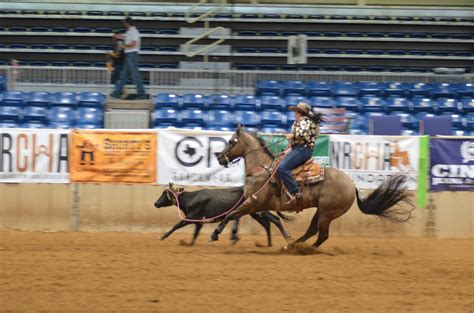 Debbie Craftons Dreams Come True Quarter Horse News