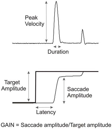 Saccadic Eye Movement Parameters Doi 10 1371 Journal Pone 0022410 G002 Download Scientific