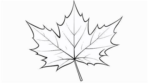 Maple Leaf Outline Vector Illustration Premium Ai Generated Vector