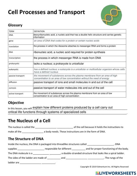 7th Grade Biology Cell Worksheet