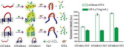 Luminescence Vol 38 No 9