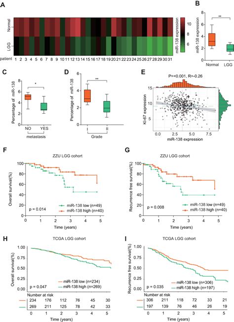 Tumor Suppressor Microrna 138 Suppresses Low Grade Glioma Development Ott